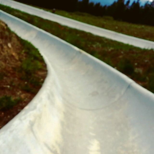 Defying gravity on the Alpine Slide at Peak 8 Fun Park.